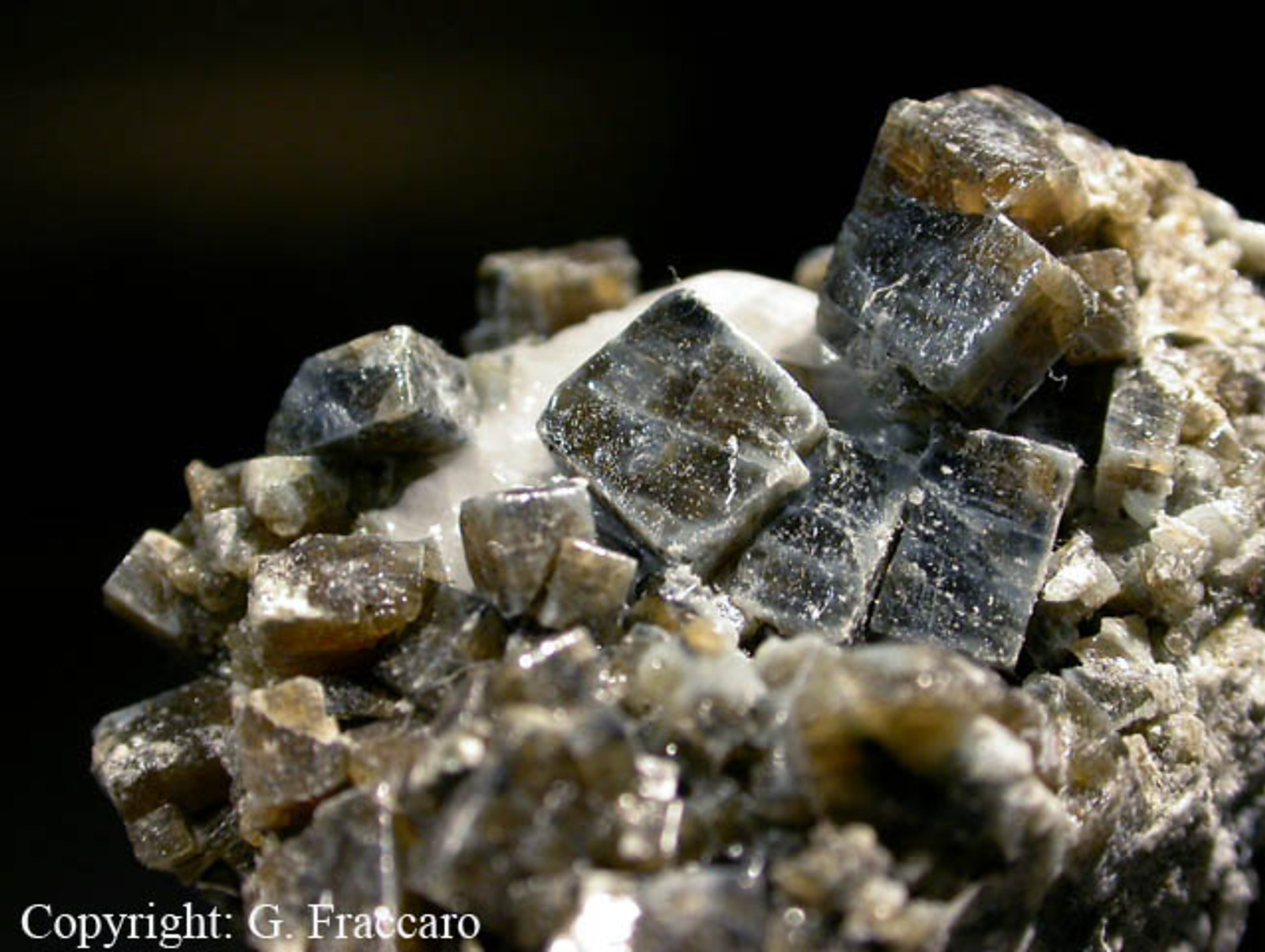 FOV 3 mm. Collection Bernd Ternes, photo Stephan Wolfsried