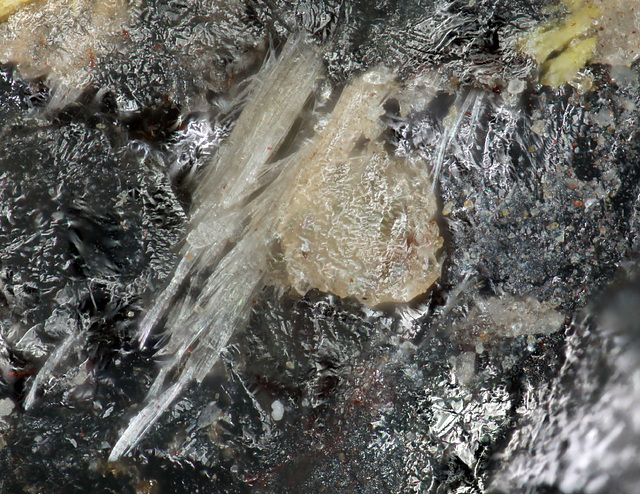 Hodgkinsonite, Chlorophoenicite, Hetaerolite