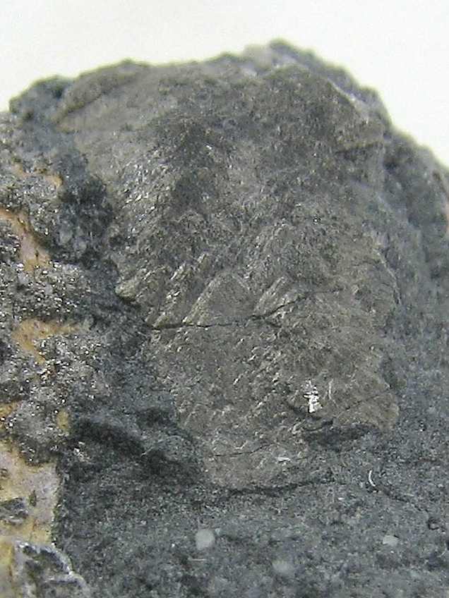 Alloclasite, Scorodite, Chlorite Group, Native Silver, Safflorite ...