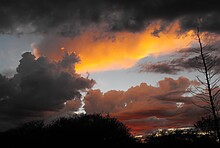 Education : Chert/chalcedony thin sections