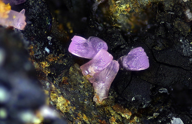 Cobalt-bearing Smithsonite: Mineral information, data and localities.