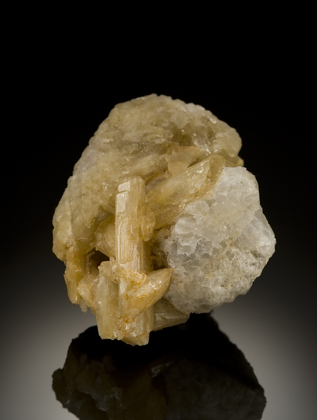 Richterite, Sodalite (Var: Hackmanite)