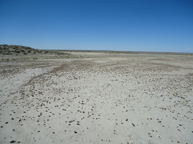 Blue Forest, Eden Valley, Sweetwater County, Wyoming, USA