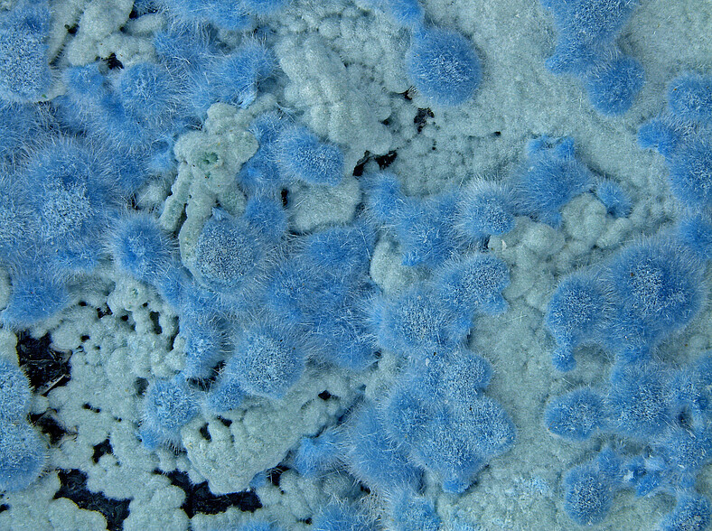 Shattuckite: Mineral information, data and localities.