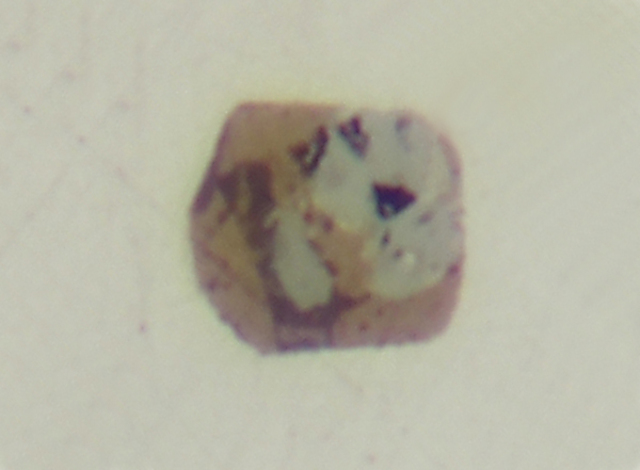 Braggite, Vysotskite, Chalcopyrite, Bornite, Iron-Platinum alloy