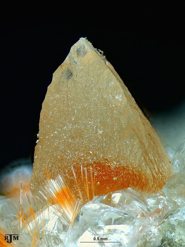 Te Henga Road quarry, Waitakere Ranges, Auckland Region, New Zealand