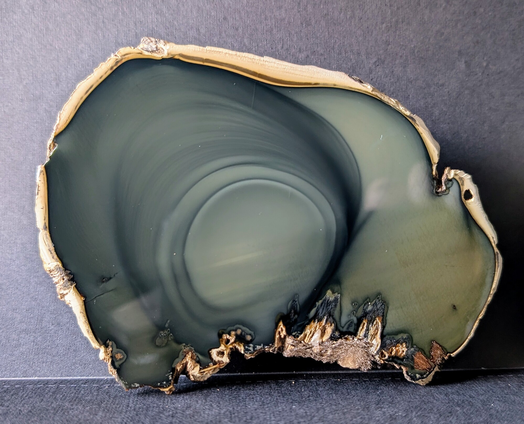 Field Collecting : Sharing a great day!