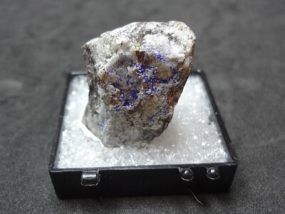 08452950017396785759203.jpg?cachekick=1