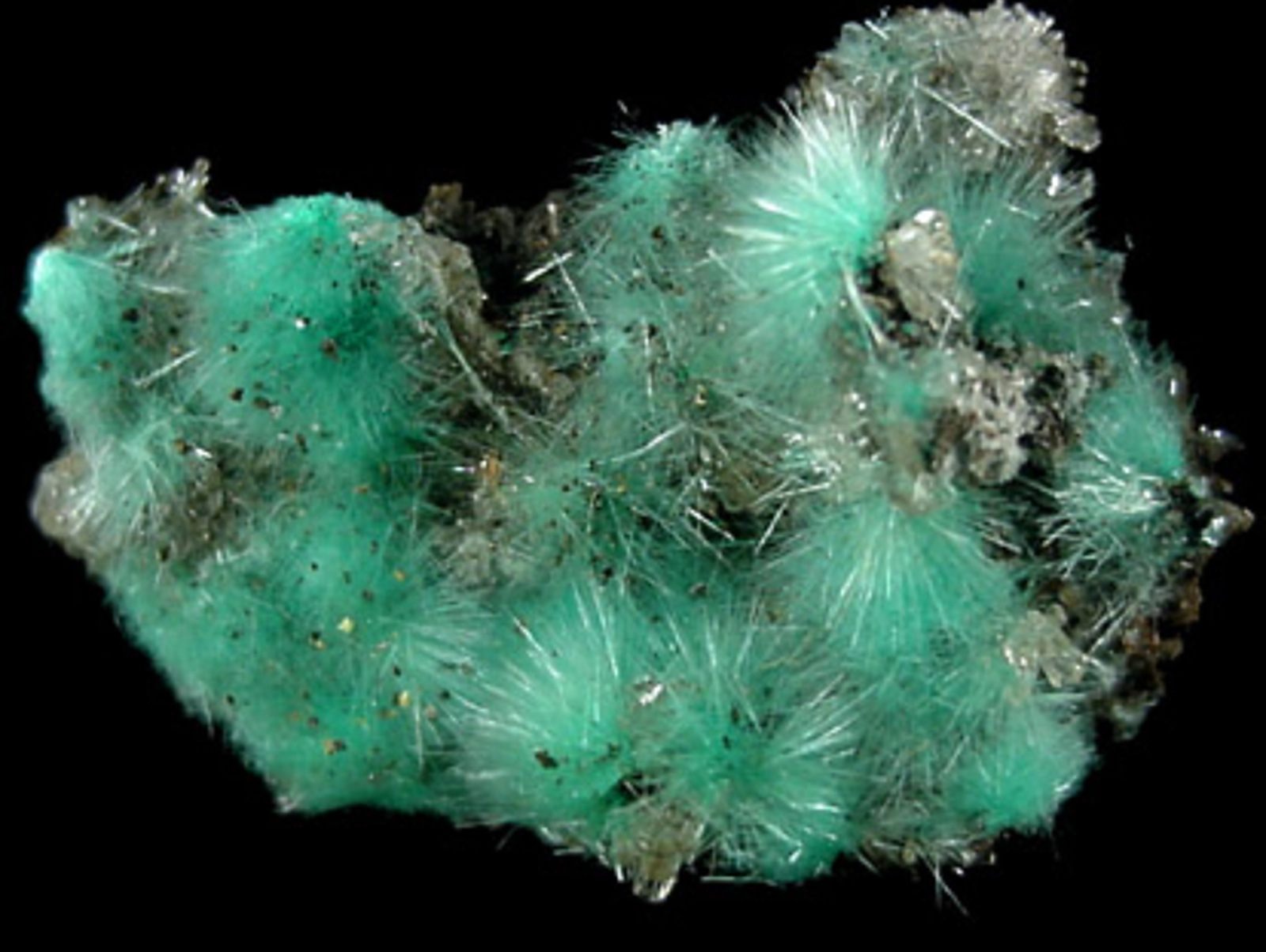 Very nice Aurichalcite.Field of view is 0,8 cm.
