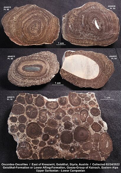 Oncolite: Mineral information, data and localities.