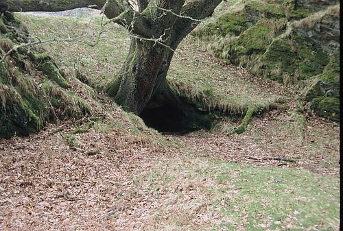 Photo Gallery: Ogofau Mine (Roman Deep Mine; Dolaucothi Mine; Cothy ...