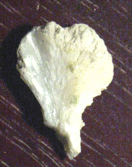 Teeter Quarry, Cumberland Township, Adams County, Pennsylvania, USA