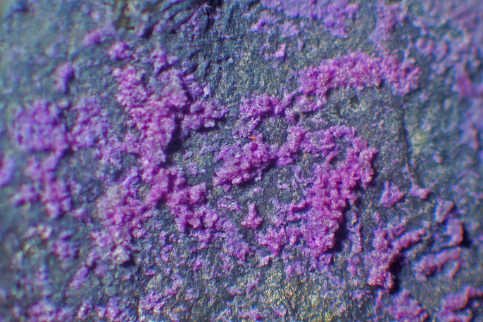 Dunite Quarry, Greenhills, Invercargill City, Southland Region, New Zealand