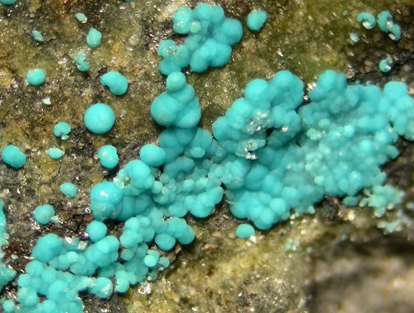 Mcguinnessite: Mineral information, data and localities.