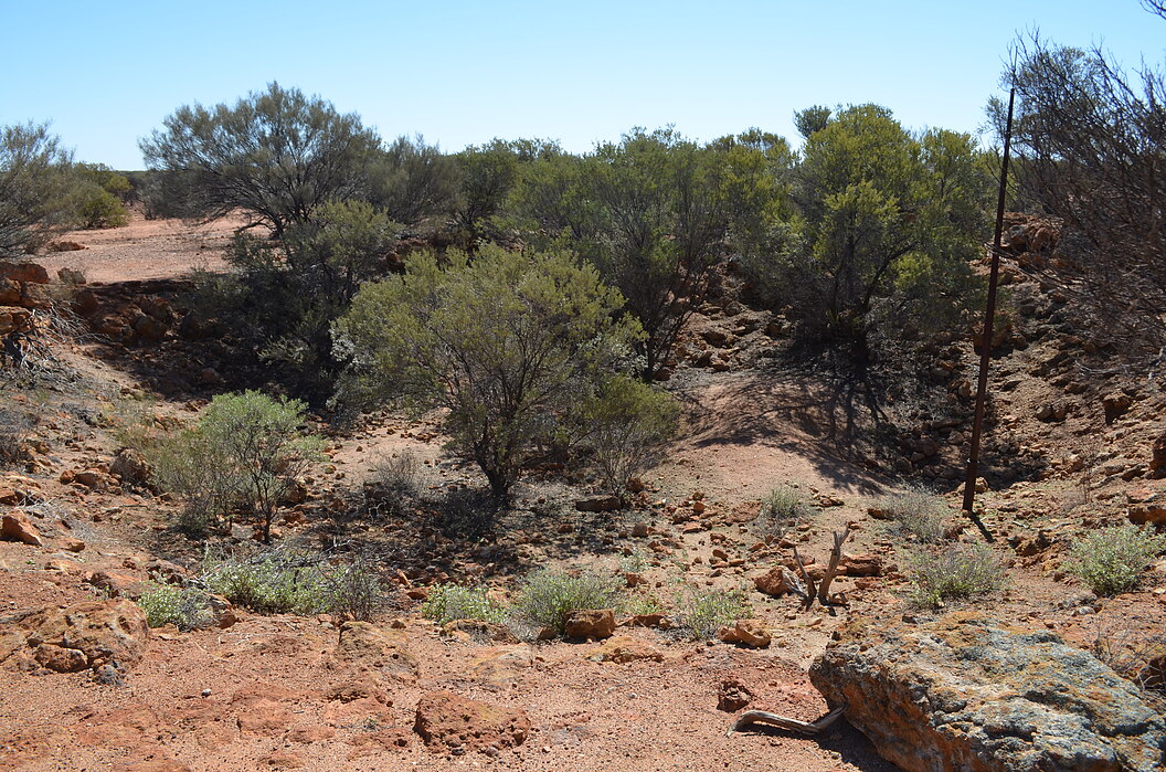 Dalgaranga meteorite (Dalgaranga Crater), Dalgaranga Station, Yalgoo ...