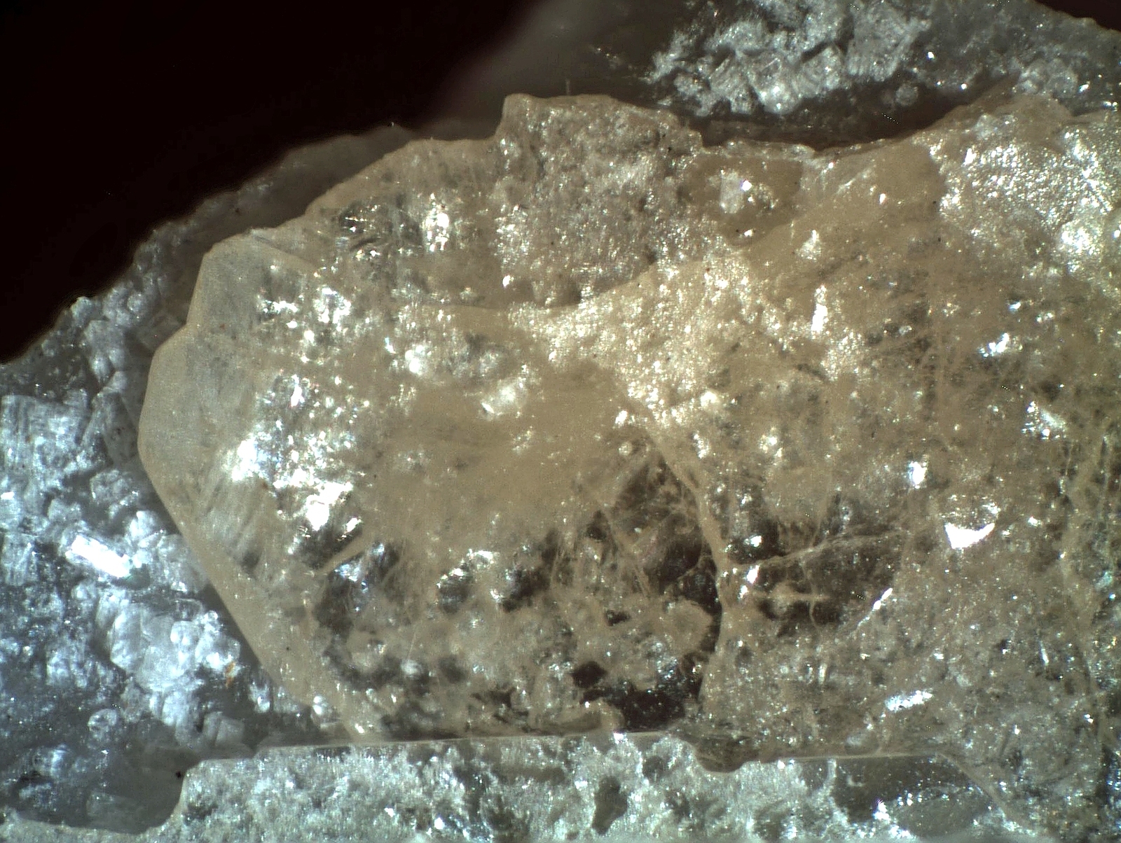 Wulfenite (Var: Chillagite)