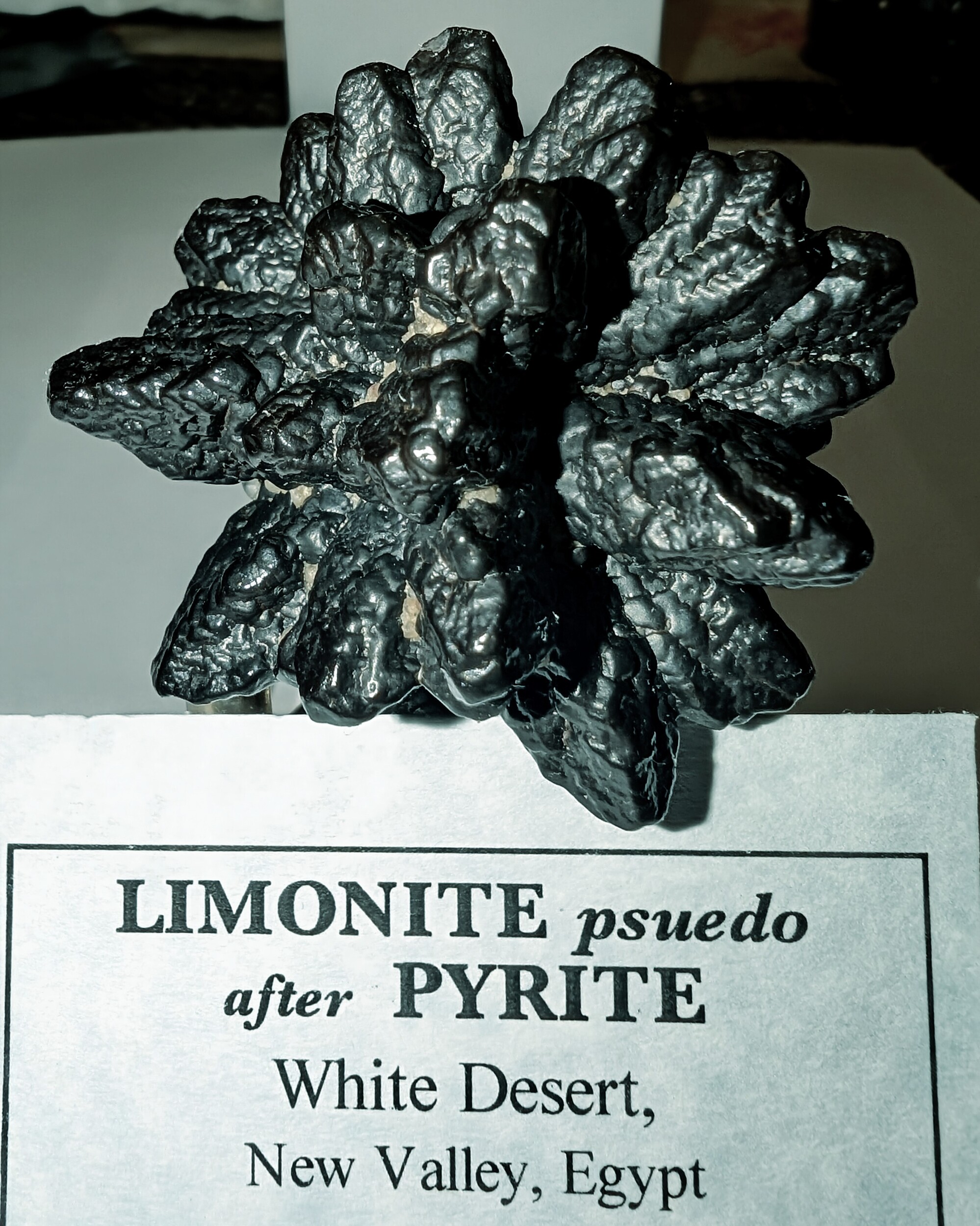 Identity Help : New Valley, Egypt