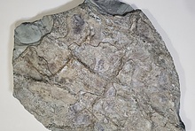 Mineralogical Classification : Magnetite-Hematite-Martite