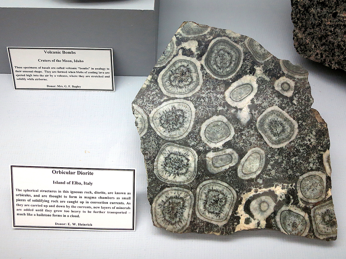 Definition of orbicular structure