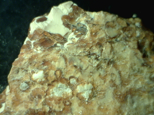 Delight Quarry (Soldier's Delight Quarry; Dyer Quarry), Soldiers ...