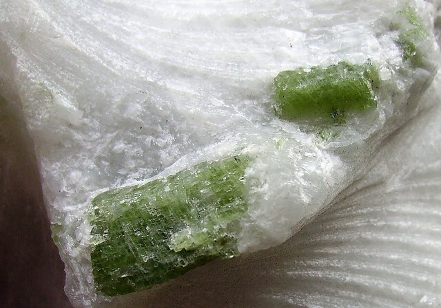 Pargasite