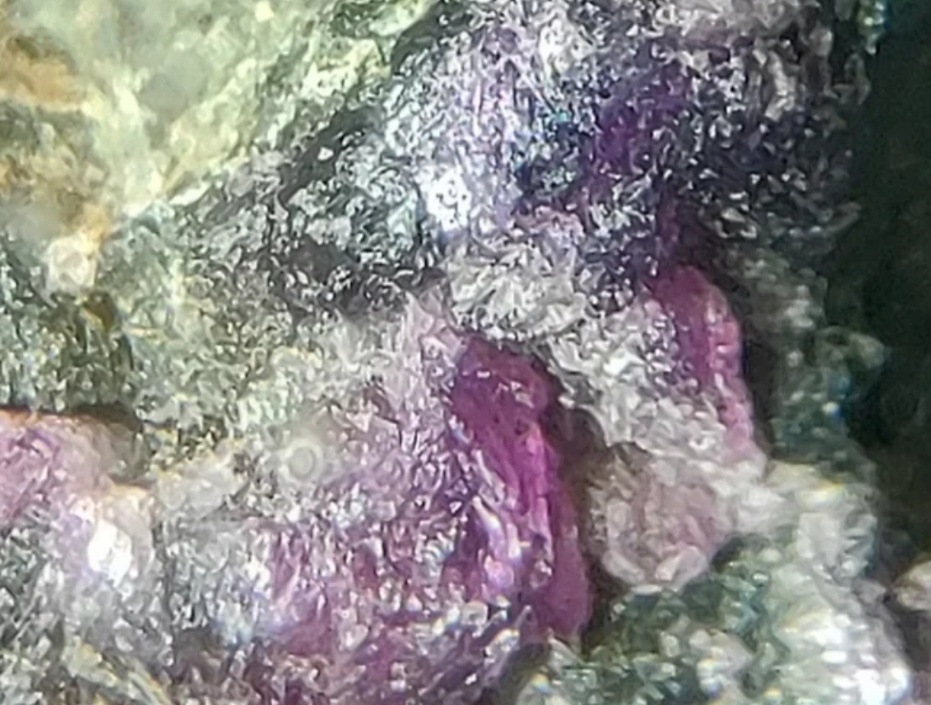 Identity Help : Woodallite specimen from Mount Keith