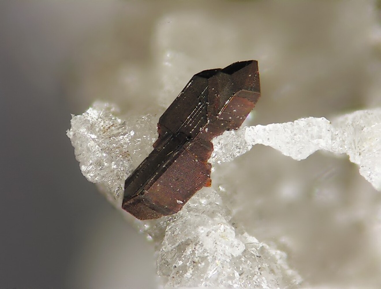 Fayalite: Mineral information, data and localities.