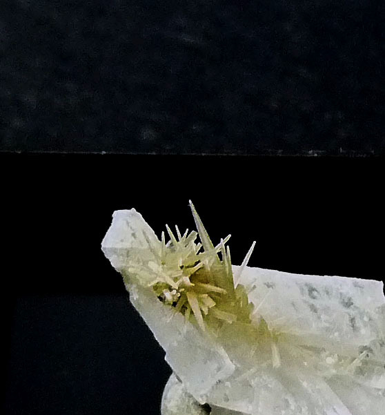 Topsham, Sagadahoc County, Maine, USA