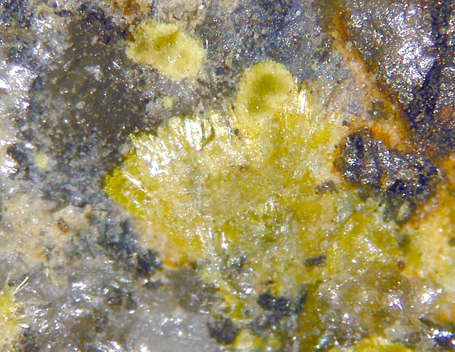 Uranophane, Phurcalite