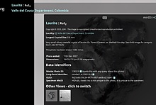 Mineralogical Classification : Polymorphism vs. Polytypism
