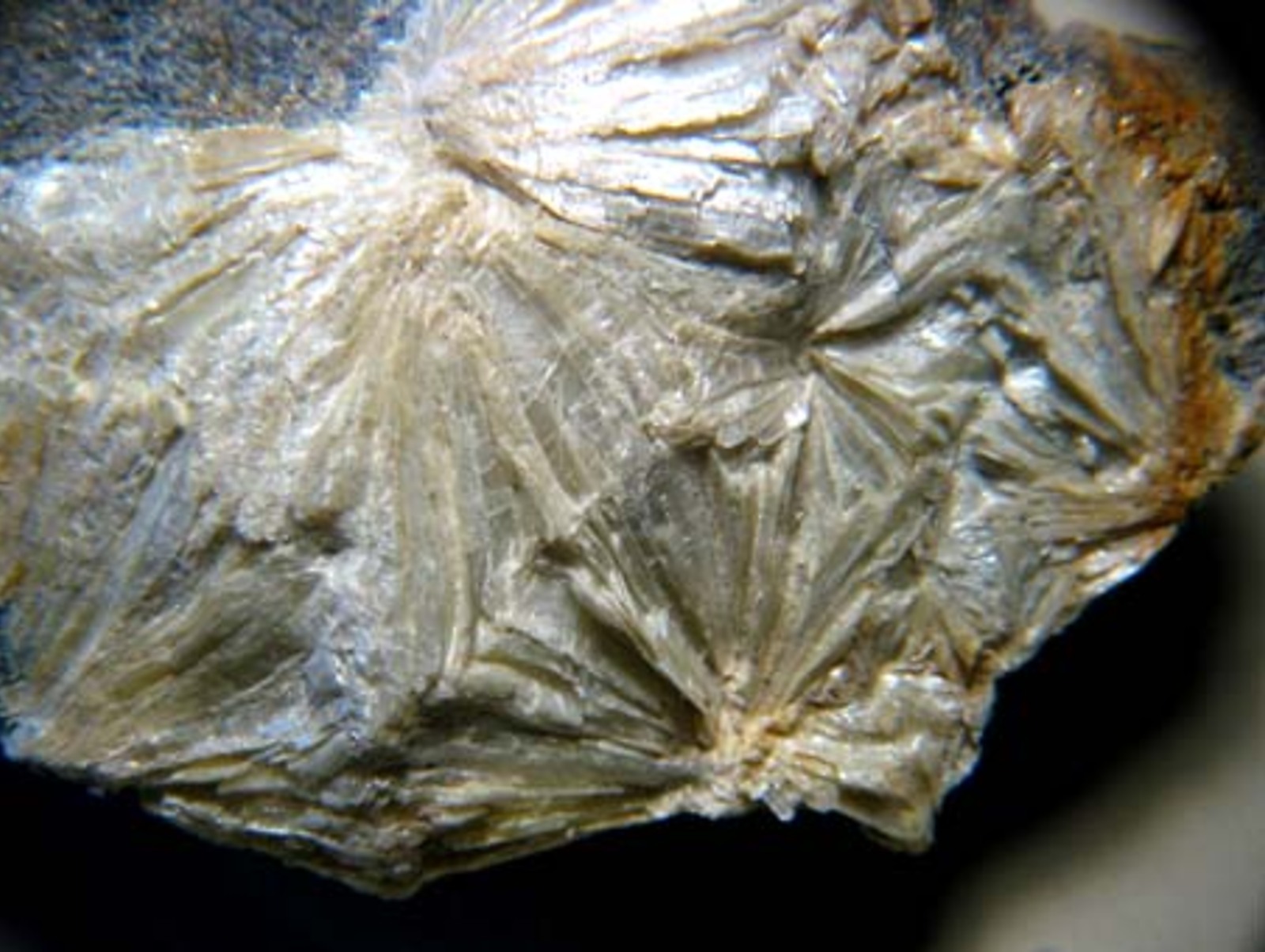 Pyrophyllite