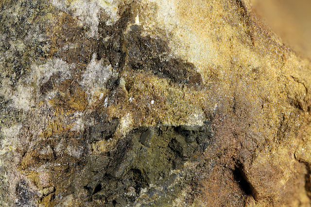 Roscoelite, Bariandite, Gypsum