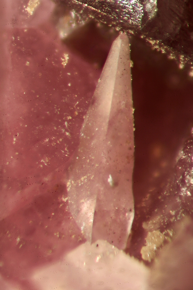 Hodgkinsonite
