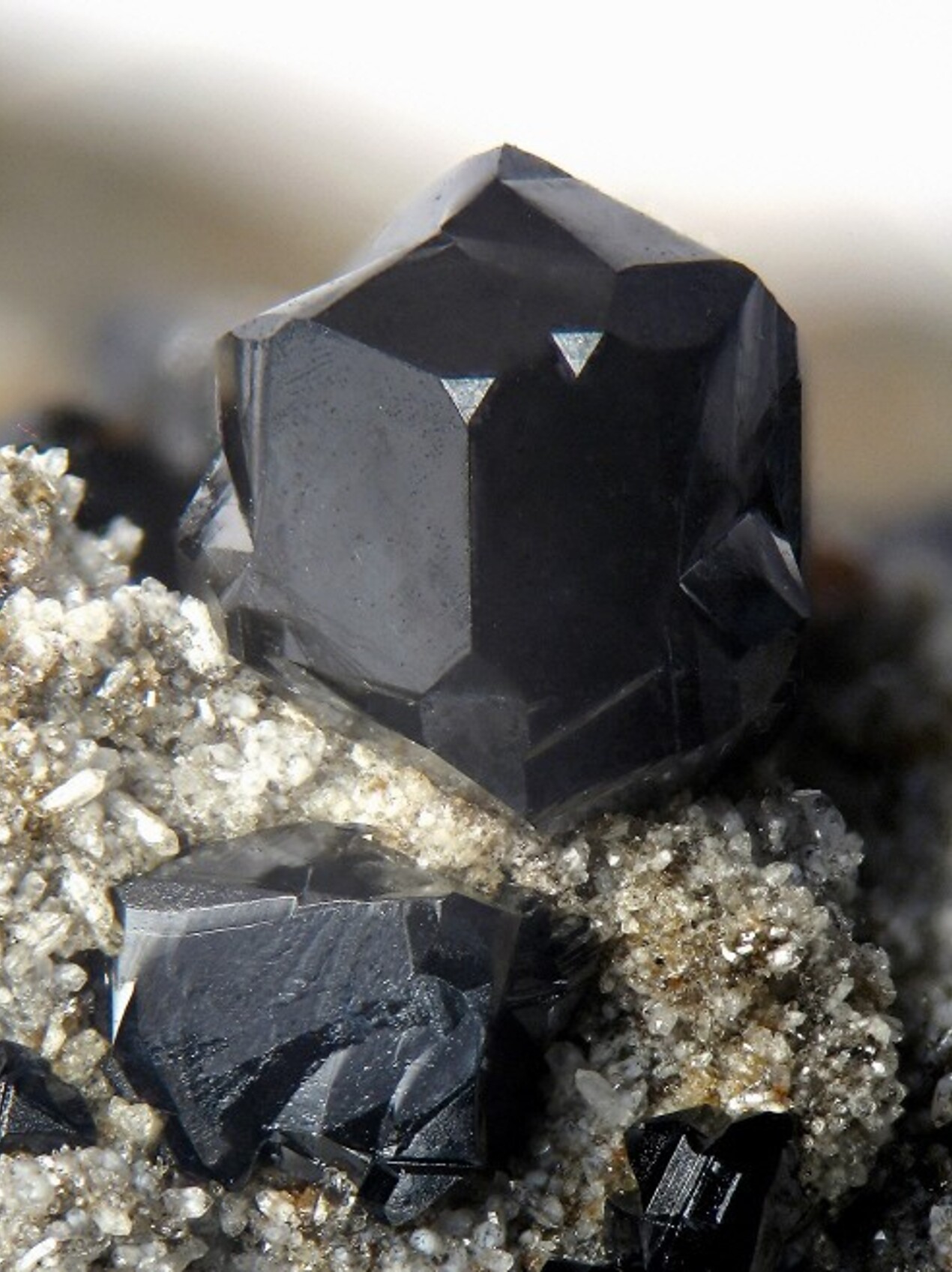 © Dott. Geol. Marco Barsanti