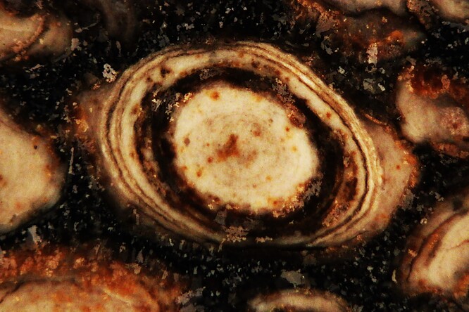 05094400017361128587639.jpg?cachekick=1