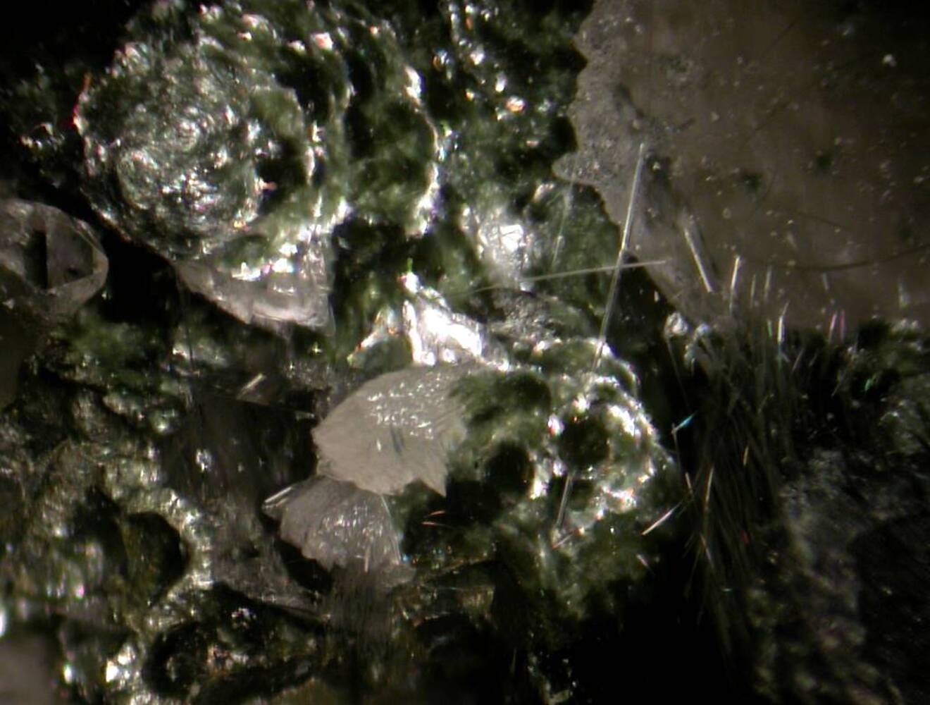 Identity Help : Loudoun County Virginia puzzle