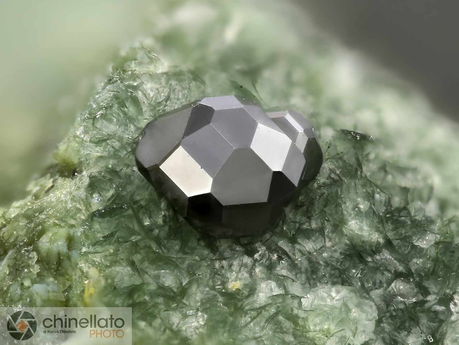 Rocca Predellara Quarry, Varsi, Parma Province, Emilia-Romagna, Italy