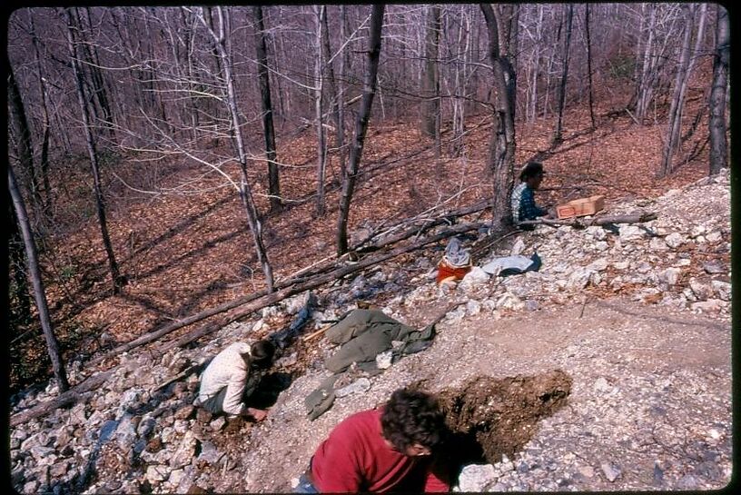 Biermann Quarries (Bethel quarries; Codfish Hill Quarry), Bethel ...