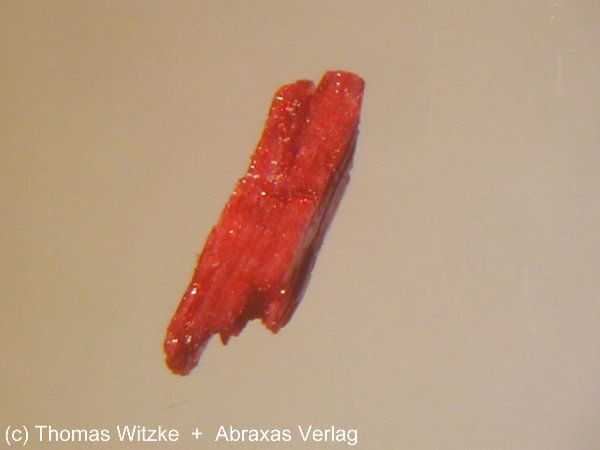 Abelsonite: Mineral information, data and localities.