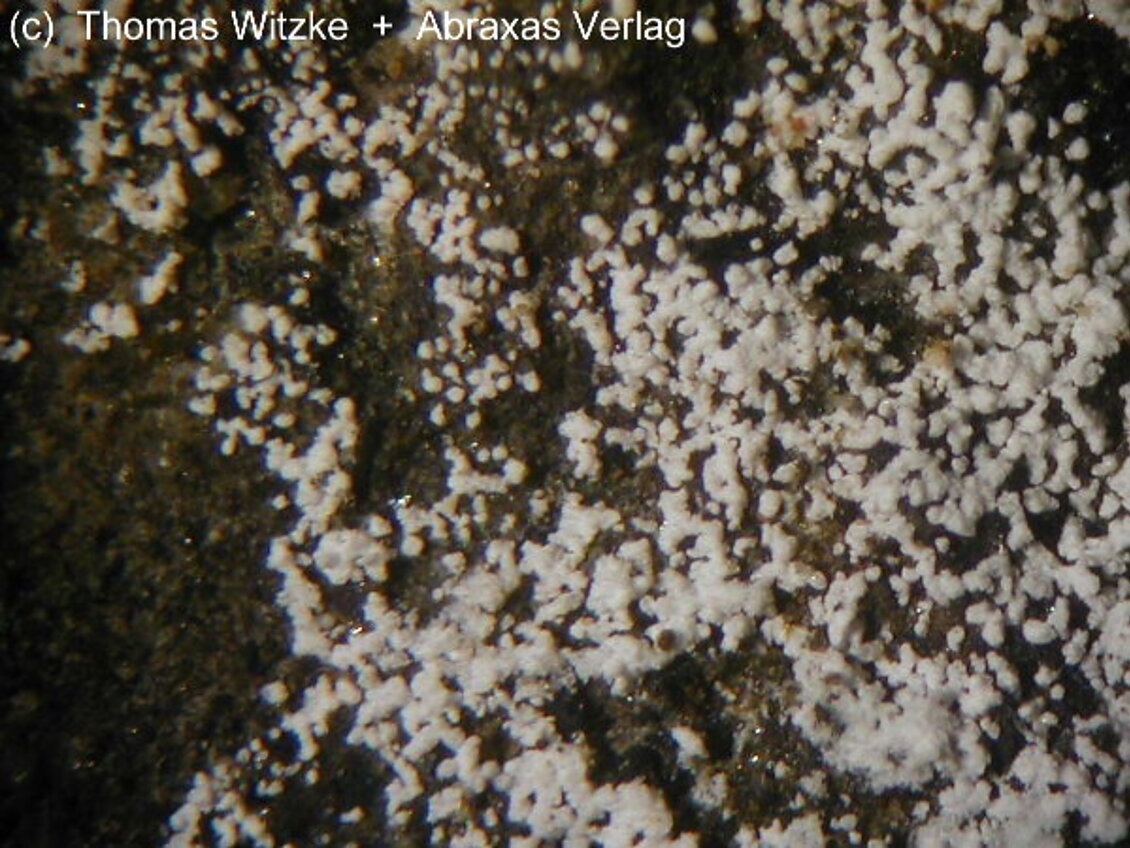 © Rob Lavinsky & irocks.com