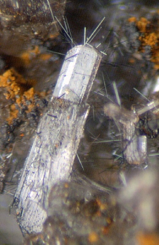 Mapimí, Mapimí Municipality, Durango, Mexico