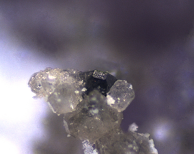 Alcaparrosa Mine, Sierra Gorda, Antofagasta Province, Antofagasta, Chile