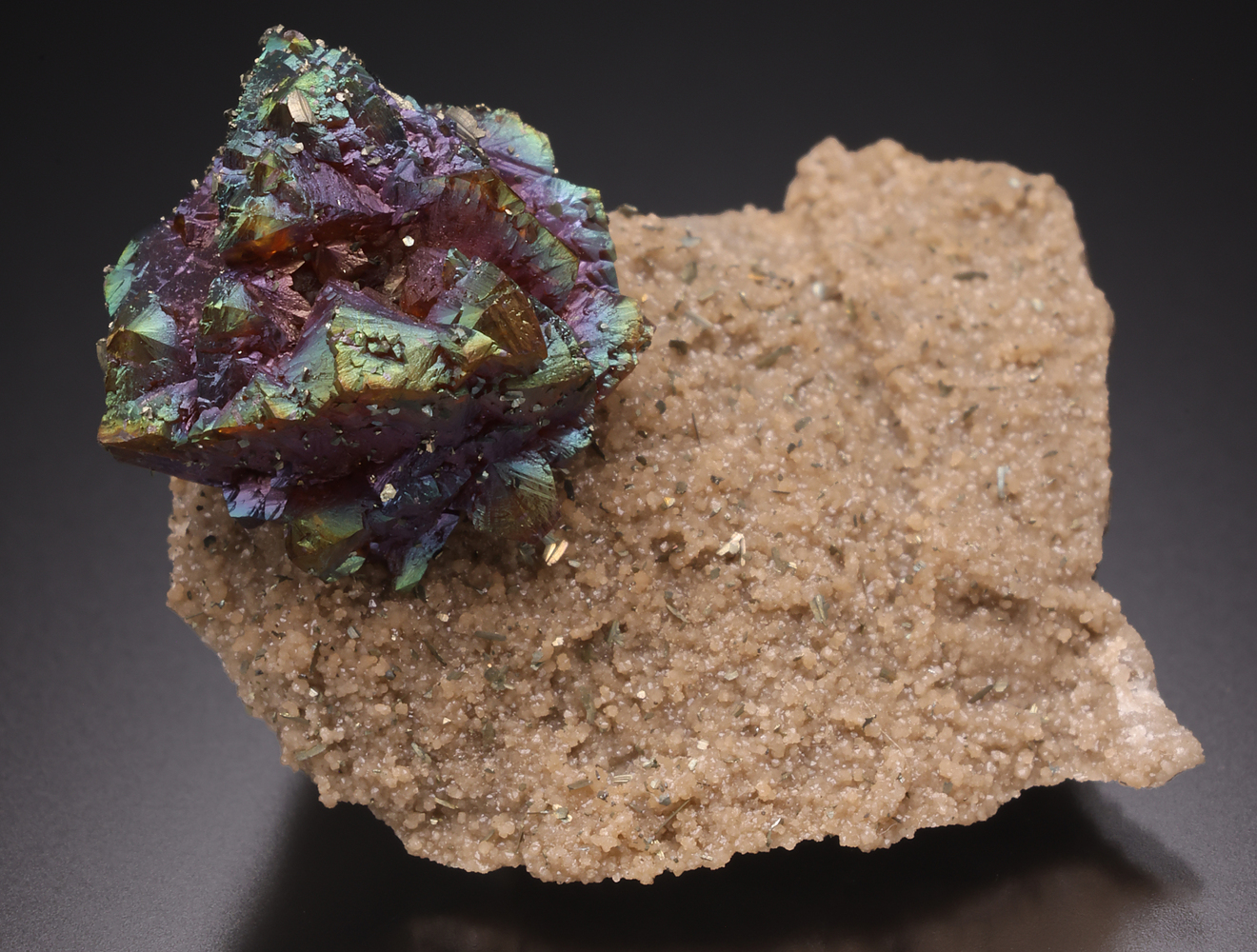 Photos : Twinned or not twinned?