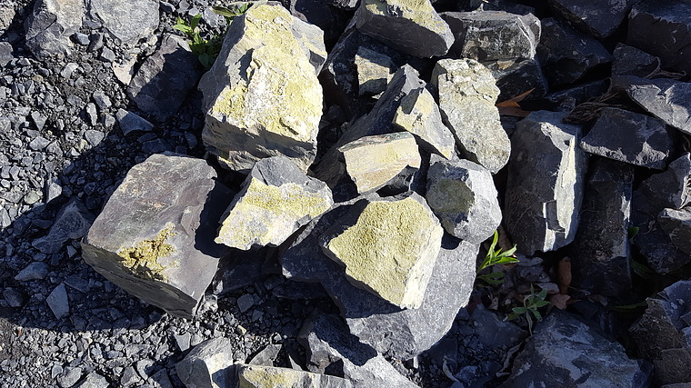 Teeter Quarry, Cumberland Township, Adams County, Pennsylvania, USA