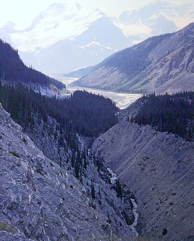 Sunwapta River Gorge, Jasper National Park, Alberta, Canada