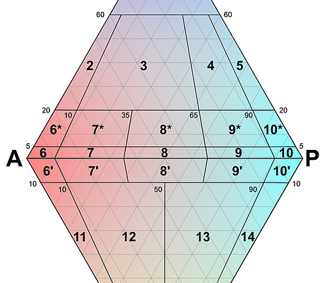 QAPF Diagram for Volcanic Rocks QAPF volcanic rock definitions ...