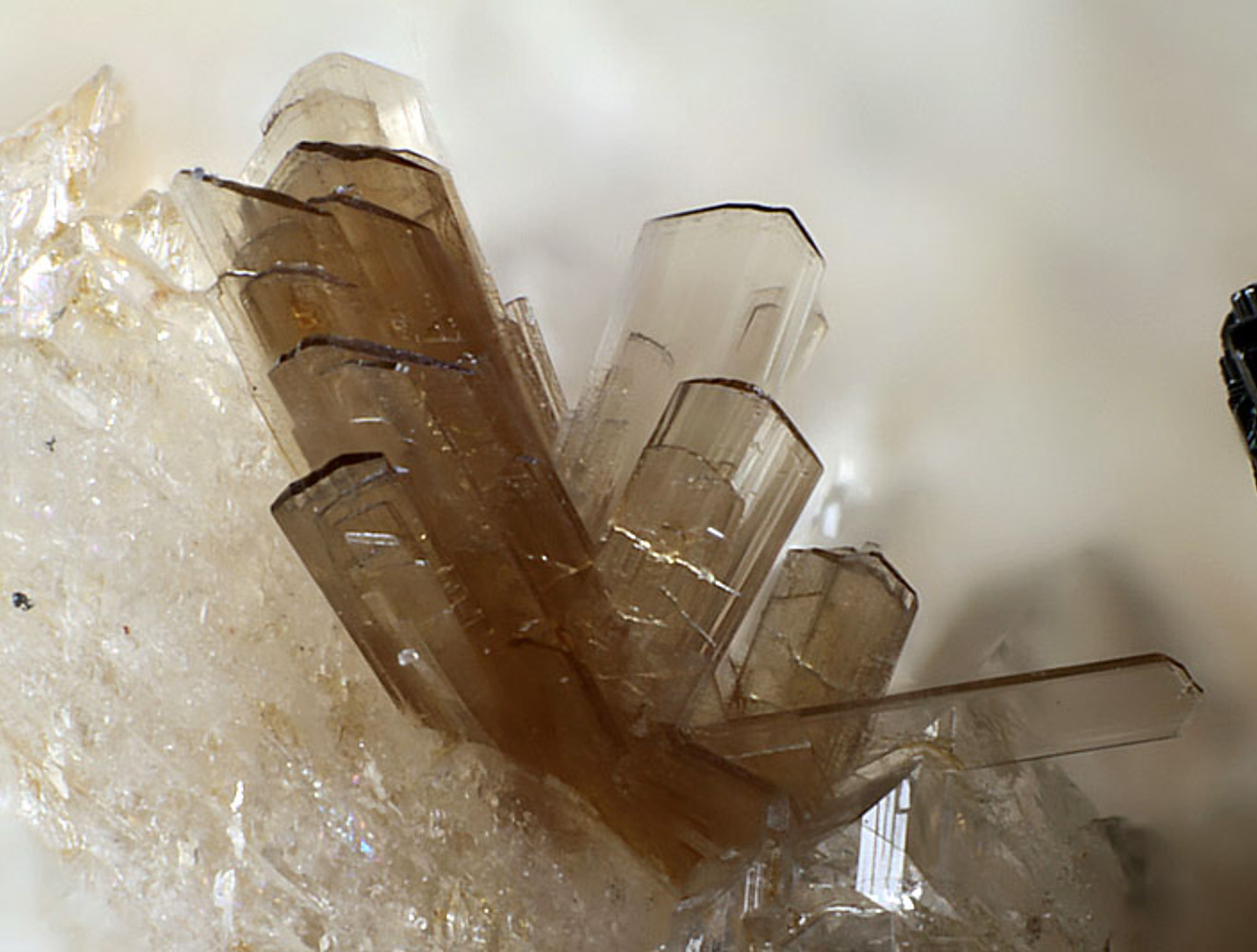 Hellandite-(Ce): Mineral information, data and localities.