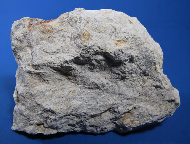 Chalk: Mineral information, data and localities.