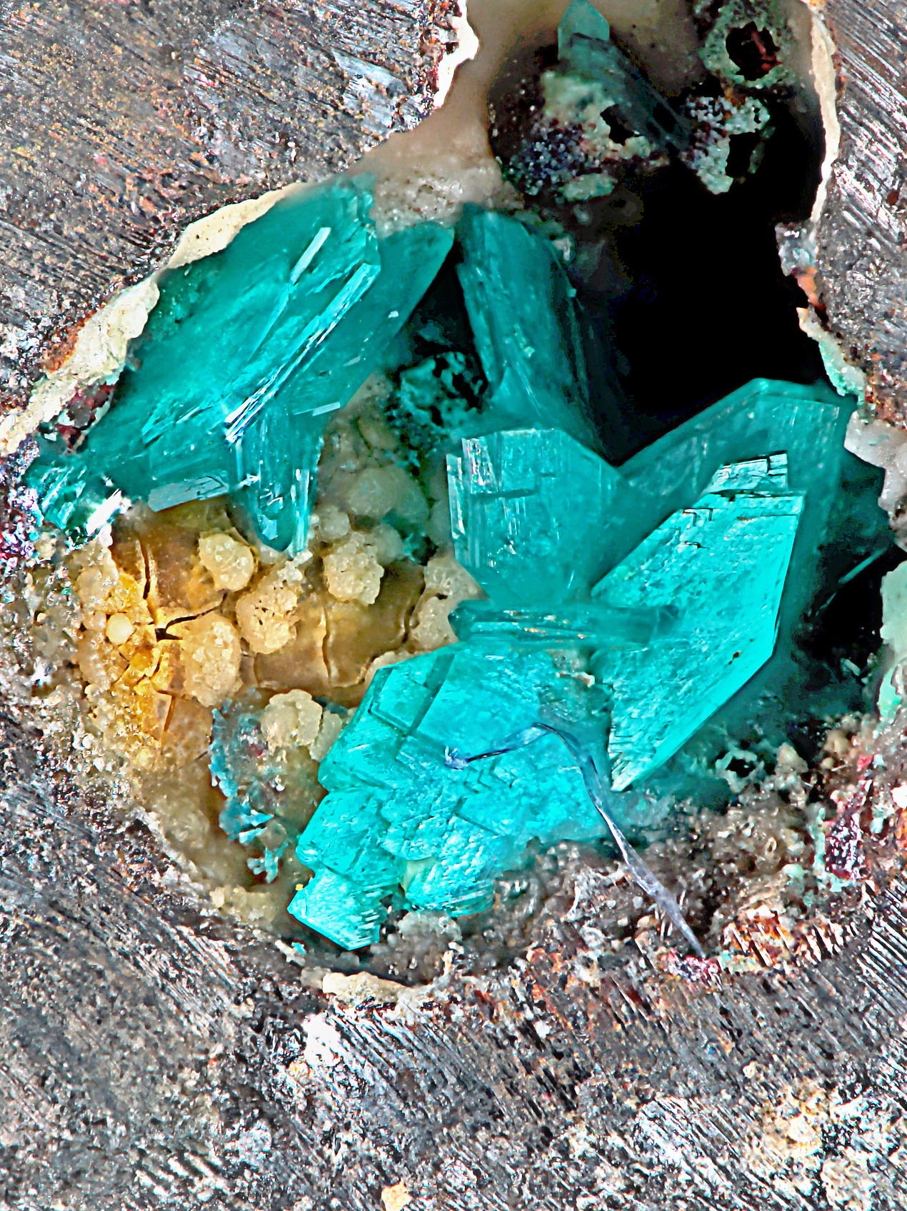 © Chinellato Matteo