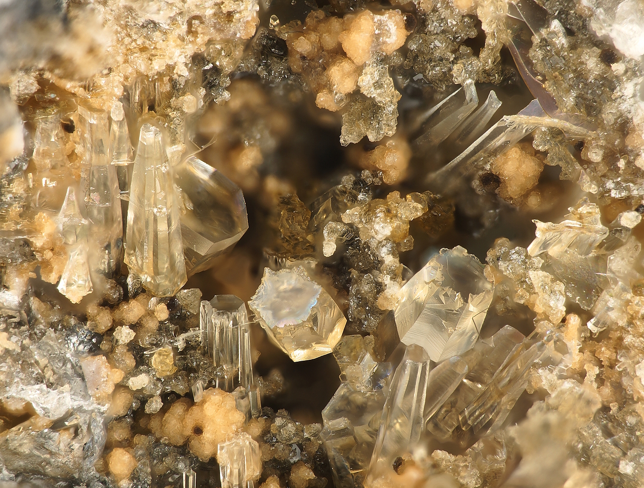 Charmarite-3T: Mineral information, data and localities.